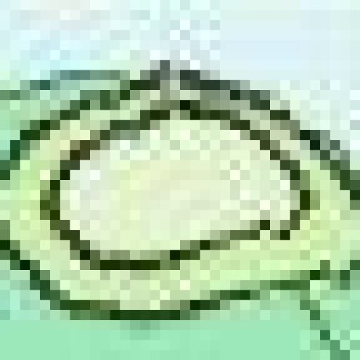 Celtic – Brigantes Nation