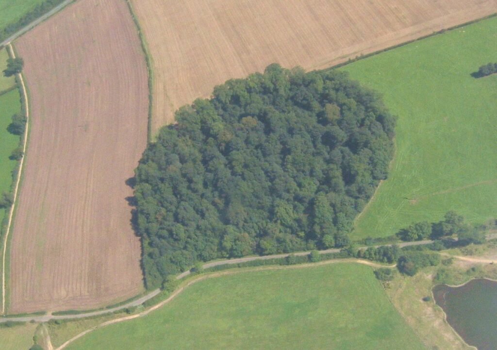 Henge Capital of Britain - Brigantes Nation