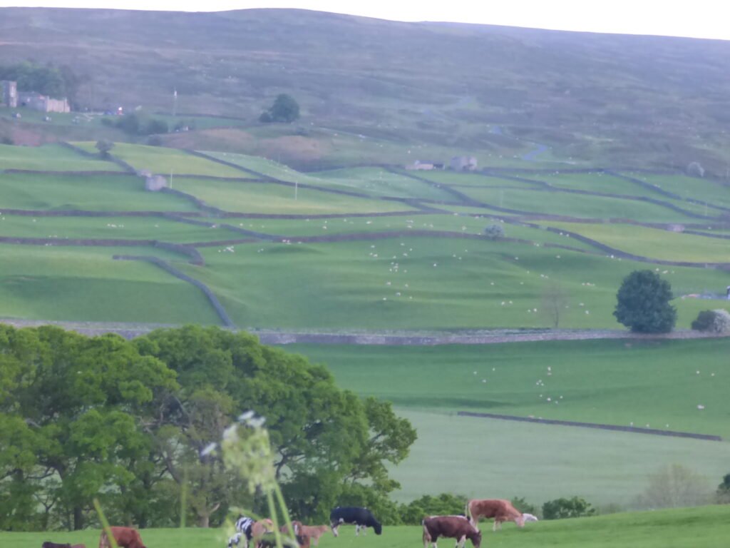 Marrick Priory – Brigantes Nation