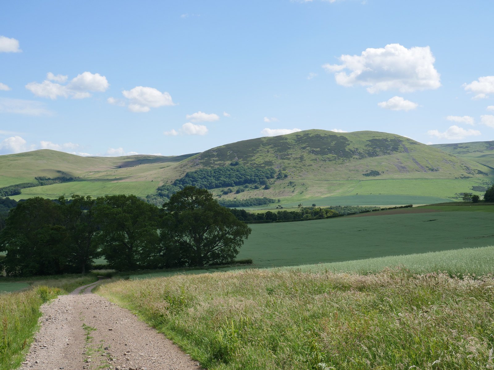 Brigantes Tribe – Brigantes Nation