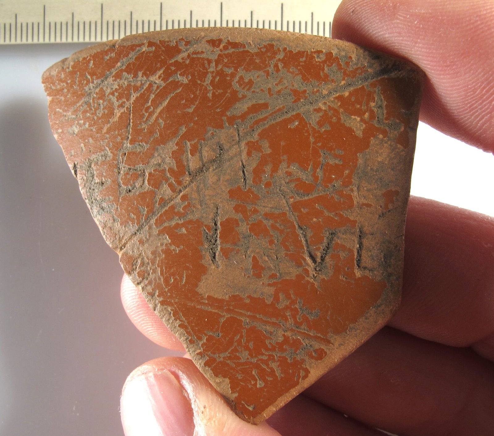 Mamucium Roman Fort, Manchester – Brigantes Nation