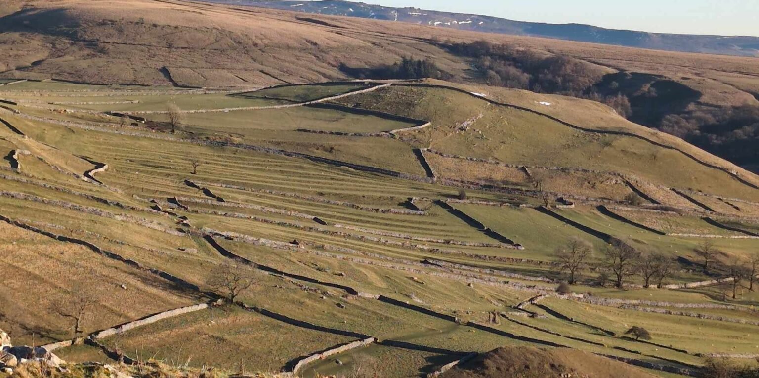 North Yorkshire - Brigantes Nation